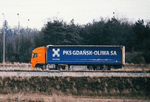 Truck Driver Poland - Jobs and Salary, How to find a job